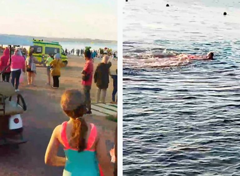 Shocking video shows aftermath of shark attack which took tourist's life