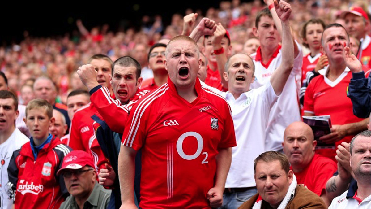 🚨England fans are raging as they believe one of Ireland's try's should ...